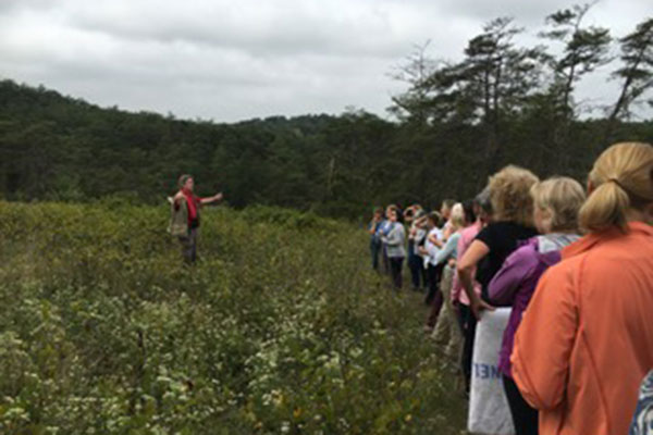 Lake Roland - Guilford Garden Club